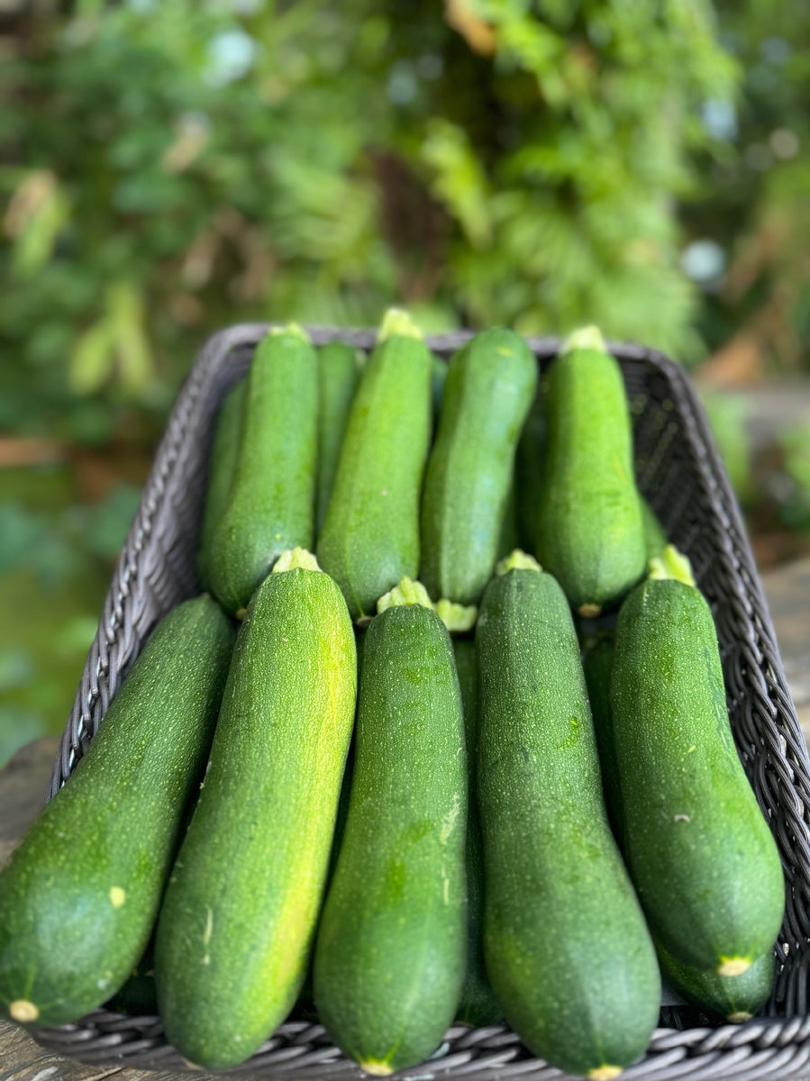 Zucchini Cert. 500g – Ground Grocer