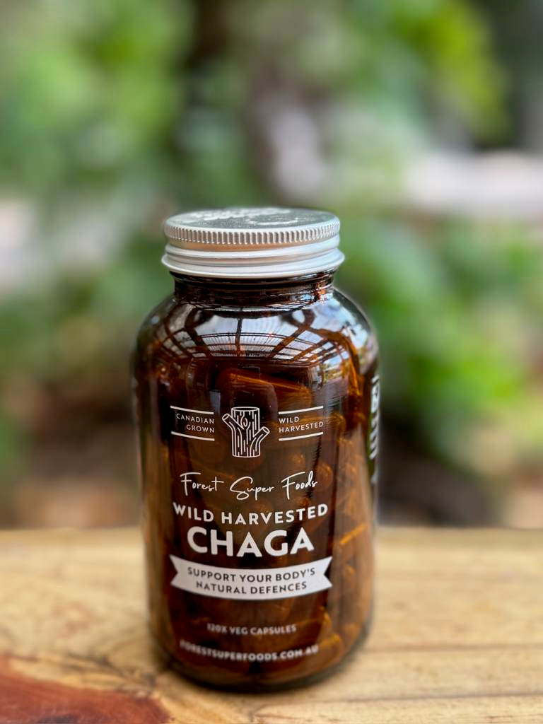 Forestsuperfoods Chaga 120caps – Ground Grocer